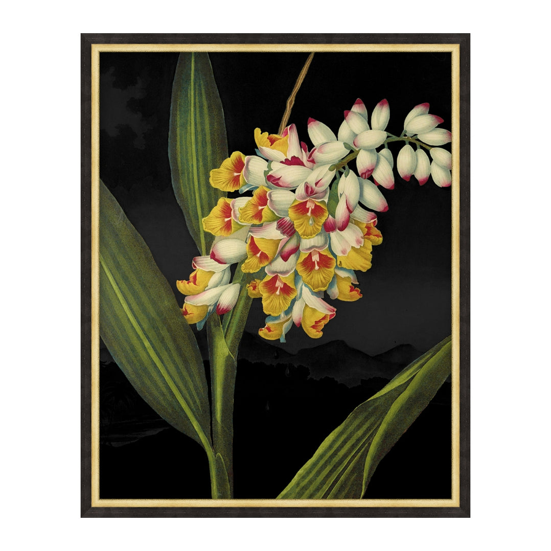 Wall Art | Lillian August