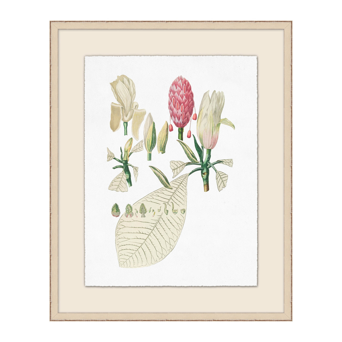 Wall Art | Lillian August