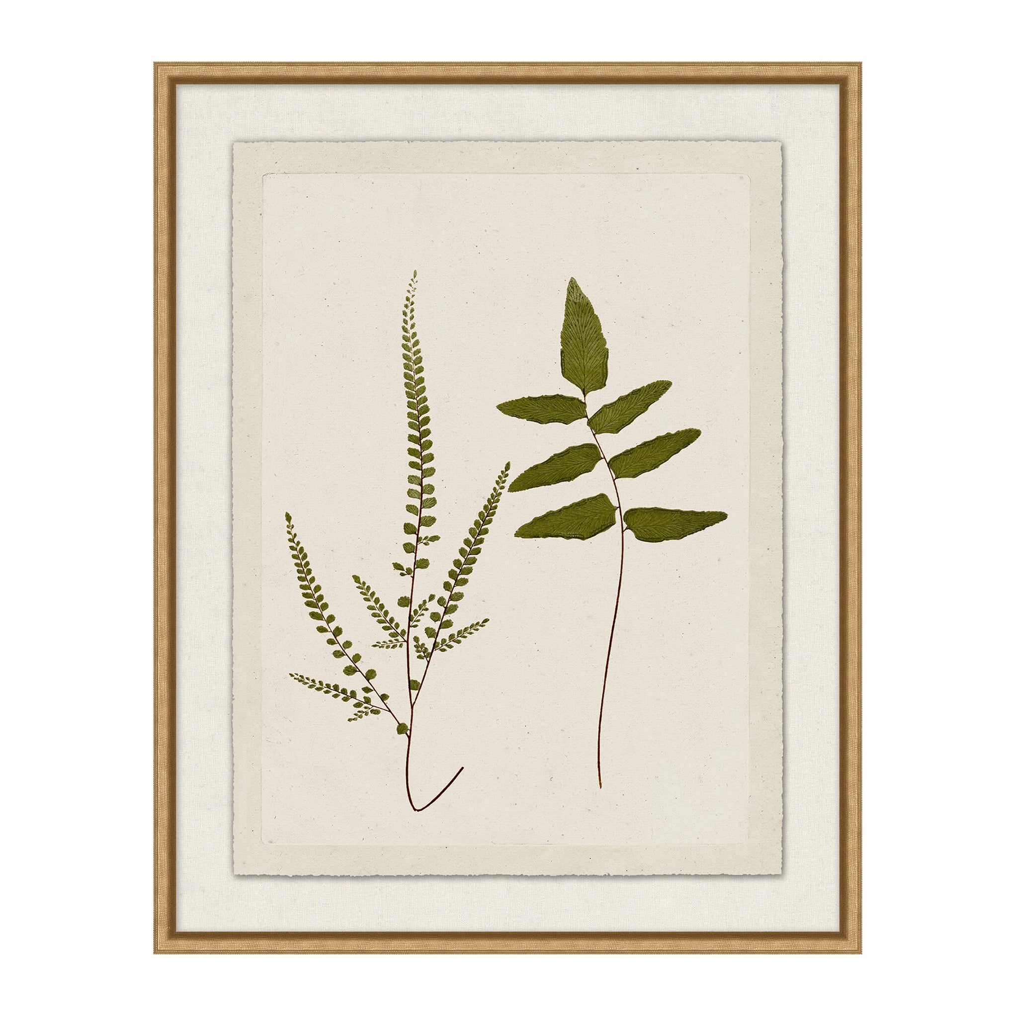 Wall Art | Lillian August