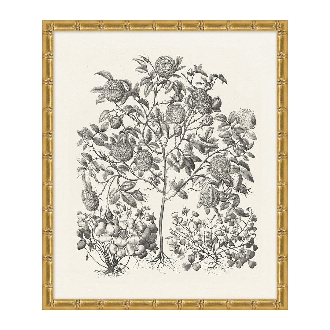 Bessler Study In Neutral 1